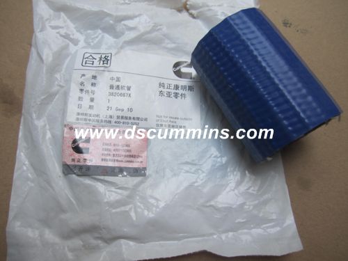 Cummins M11 Plain Hose 3820667