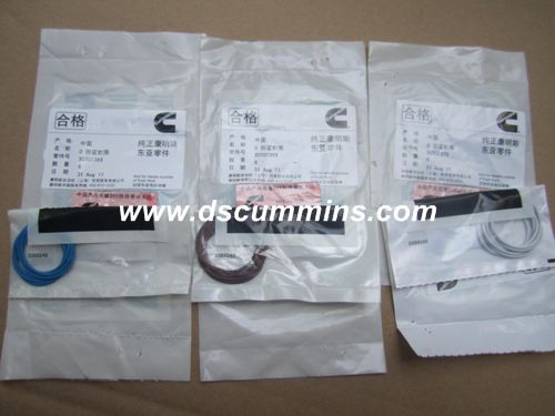 Cummins M11 O Ring Seal 3070136