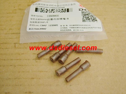 CUMMINS 6CT Piston Cooling Nozzle 3928031