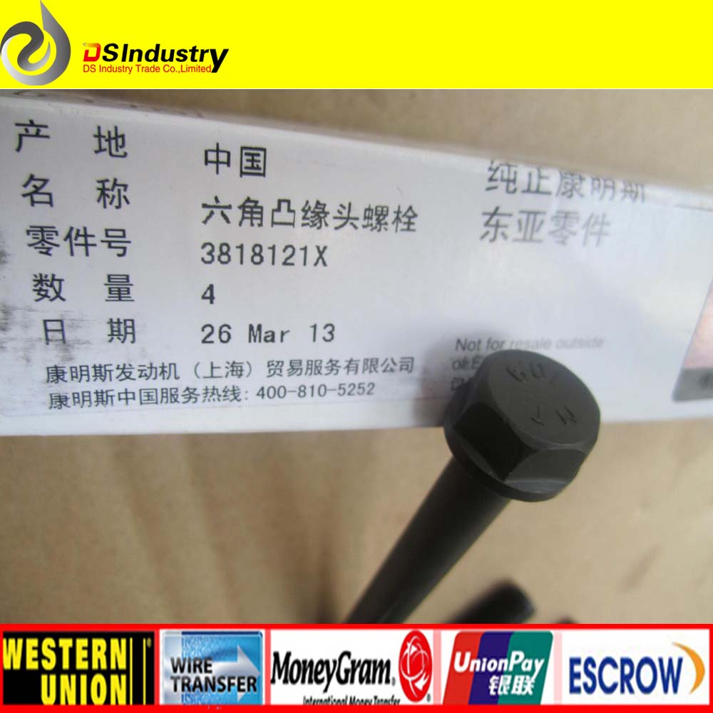 Cummins M11 Hex Flange Head Cap Screw 3818121/4965698