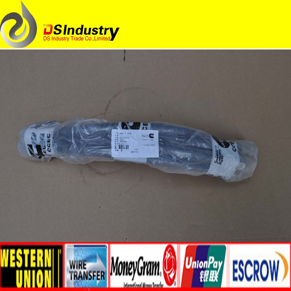Cummins Hose 3175810