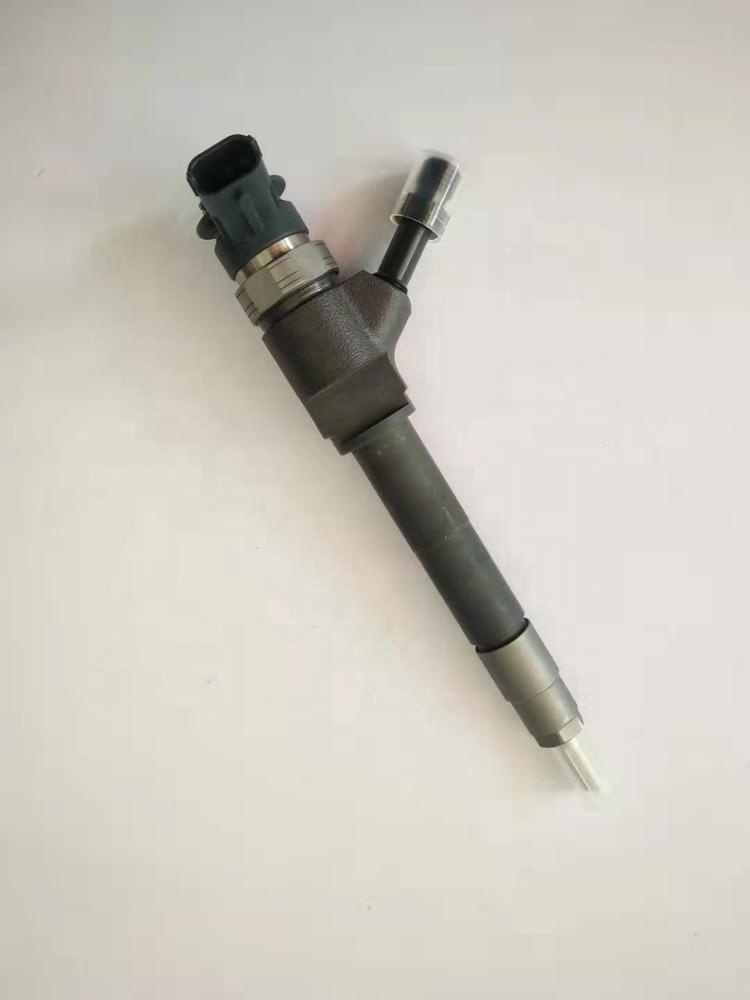 Diesel Common Rail Fuel Injector 0445110250 Engine Assembly