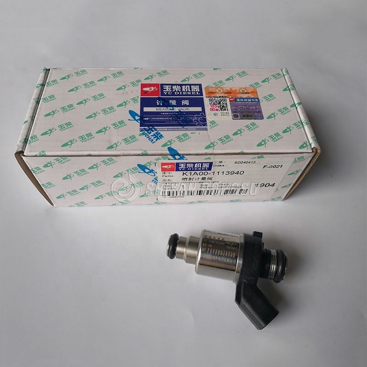 K1A00-1113940 fuel lpg cng lng rail gas injector nozzle