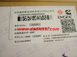 CUMMINS 6CT Piston Cooling Nozzle 3928031