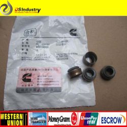 Cummins M11 Valve Stem Seal 4003966/3606766